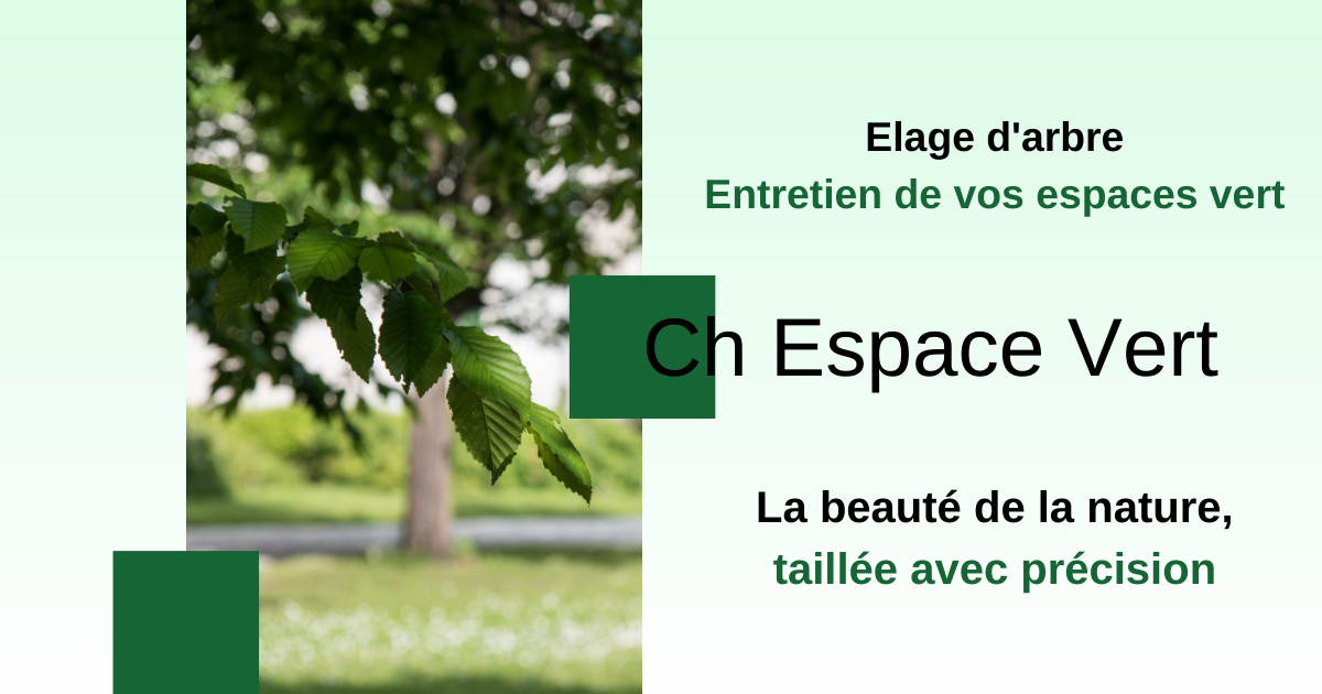 Ch Espace Vert